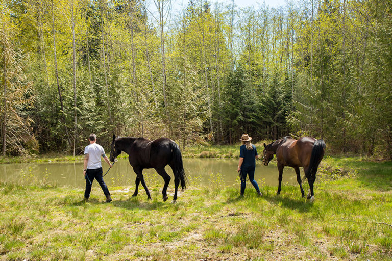 Pratt Farm | Rachel Dempster - SUNSHINE COAST REAL ESTATE AGENT