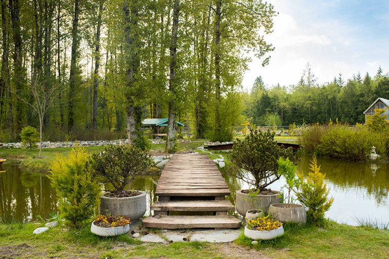 Pratt Farm | Rachel Dempster - SUNSHINE COAST REAL ESTATE AGENT